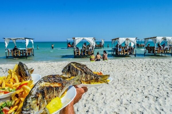 Découvrez Coco Beach à Ghar El Melh Tunisie Journée Inoubliable sur une ...